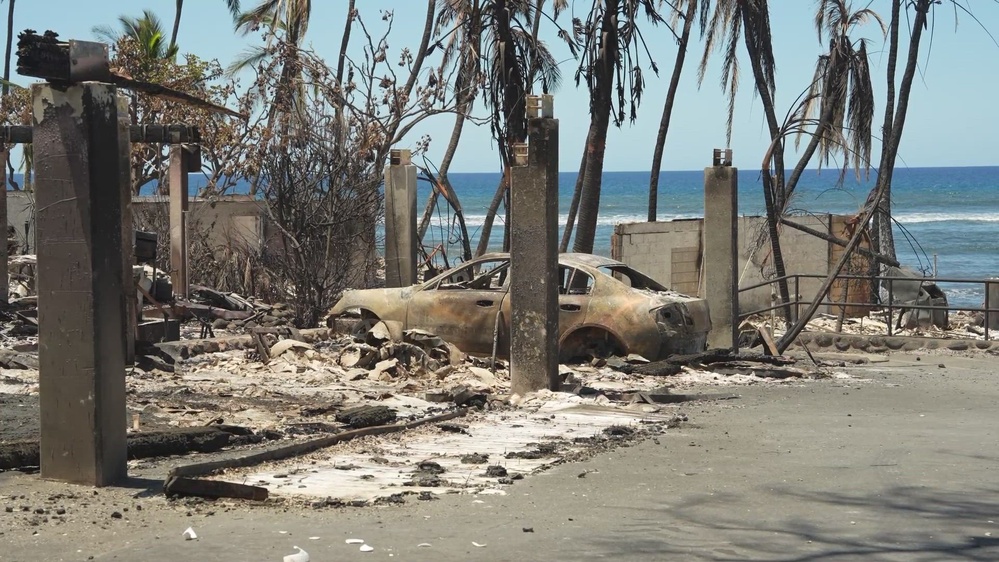 DVIDS - Video - B-Roll of Hawaii Wildfire