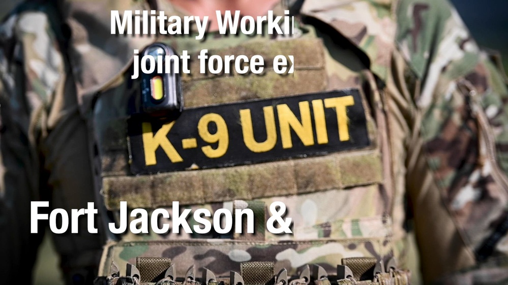 DVIDS - Video - Military Working Dogs joint force operation