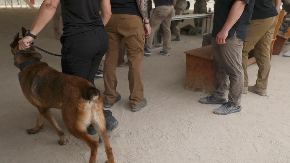 DVIDS - Video - ARCENT G1 FWD Visits ASG Kuwait Military Working Dogs ...