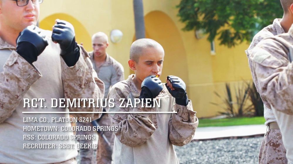 DVIDS - Video - Lima Company Recruit performs MCMAP test