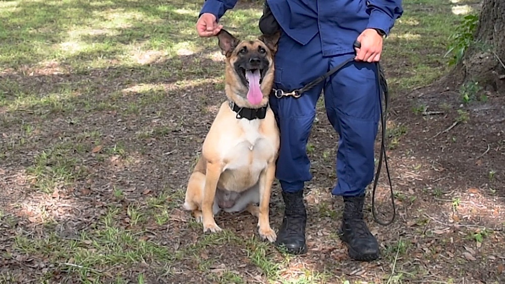 DVIDS - Video - Coast Guard celebrates National Dog Day