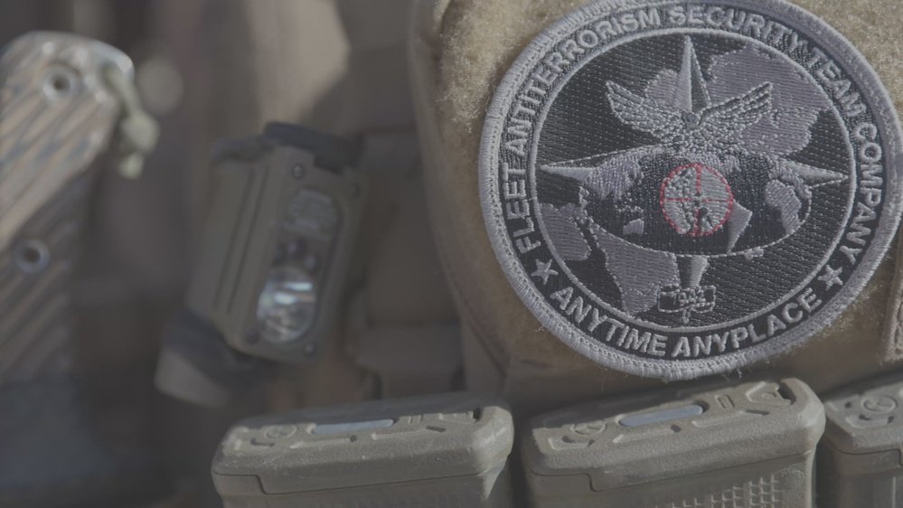 DVIDS - Video - Bright Star 23: FASTCENT Bilateral Range with Egypt HRF ...