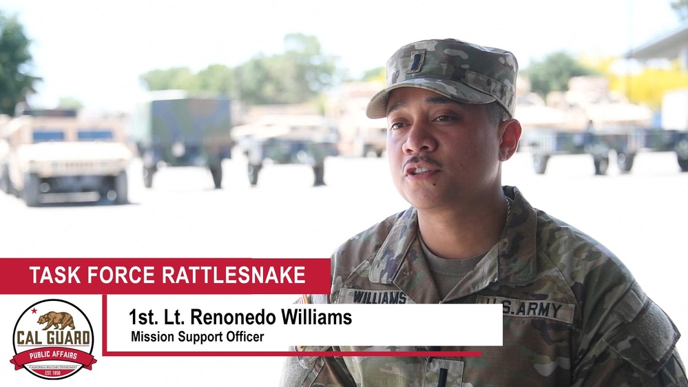 DVIDS - Video - Task Force Rattlesnake_1st. Lt. Renonedo Williams ...