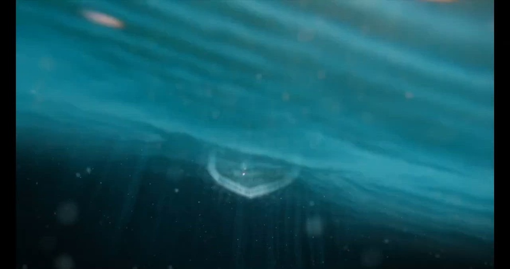 DVIDS - Video - 46 Man Life Raft