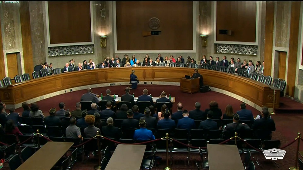 DVIDS - Video - DOD, VA Officials Testify on Military to Civilian ...