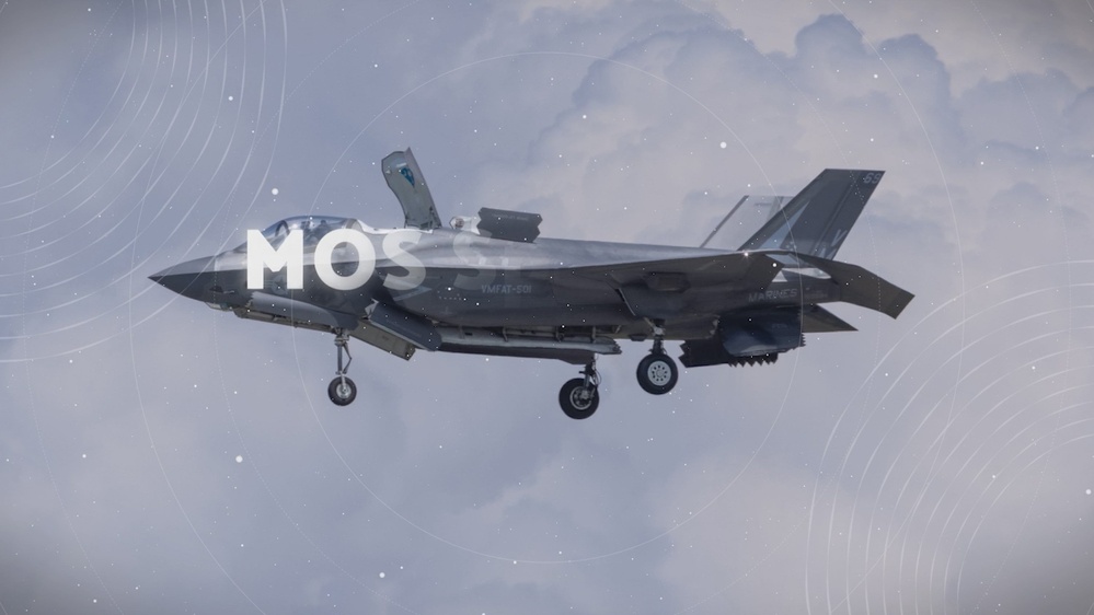 DVIDS - Video - MOS Spotlight Landing Signal Officer