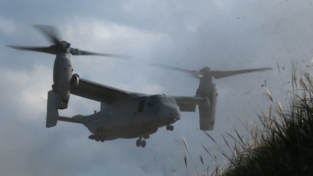 DVIDS - Video - Resolute Dragon 23| 2nd Marine Regiment Force-on-Force ...