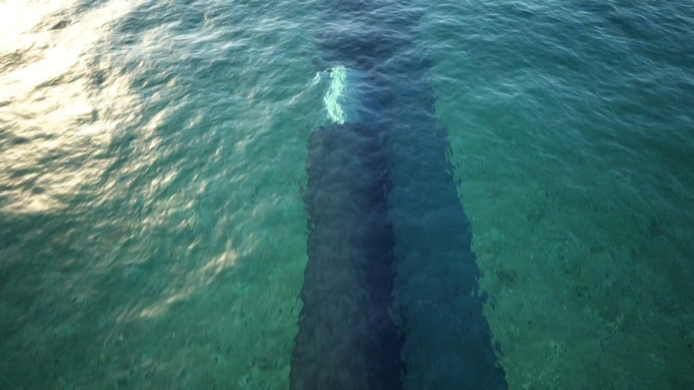 DVIDS - Video - Protecting Allied critical undersea infrastructure (it)