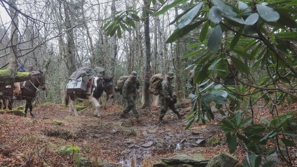 DVIDS - Video - Communication Company Participates in a Mule Packing Course