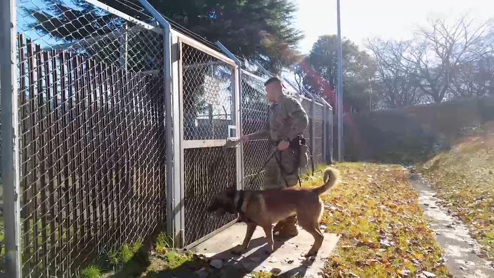 DVIDS - Video - Camp Zama Working Dog Handler Graduates at Top of His ...