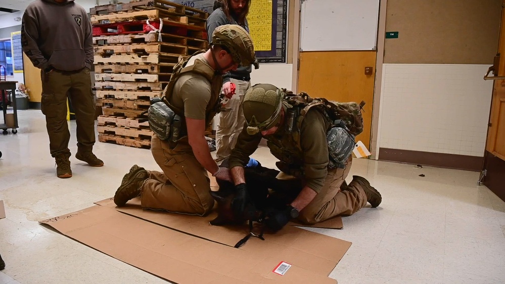 DVIDS - Video - K9-TCCC exercise B-roll