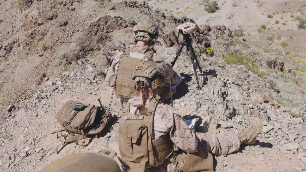 DVIDS - Video - WTI 2-24: Joint Terminal Attack Control Student Upgrade