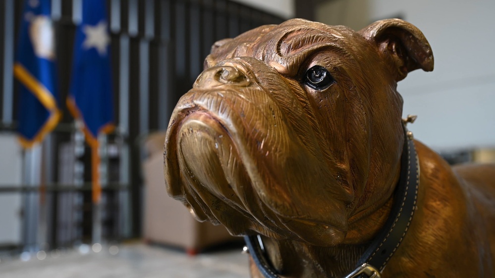 DVIDS - Video - Port Dawg Challenge 2024 (feat. 32nd APS)