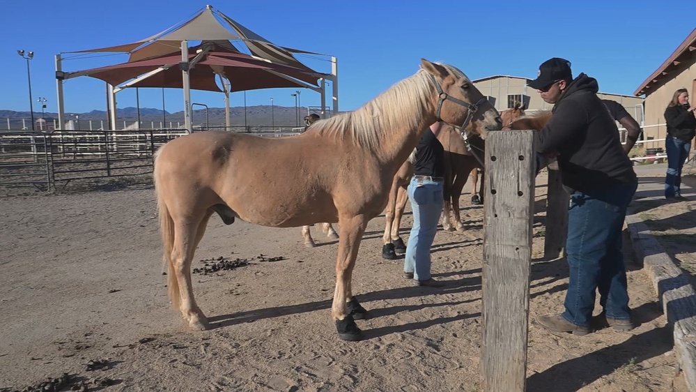 DVIDS - Video - The Marine Corps Mounted Color Guard East Coast Tour