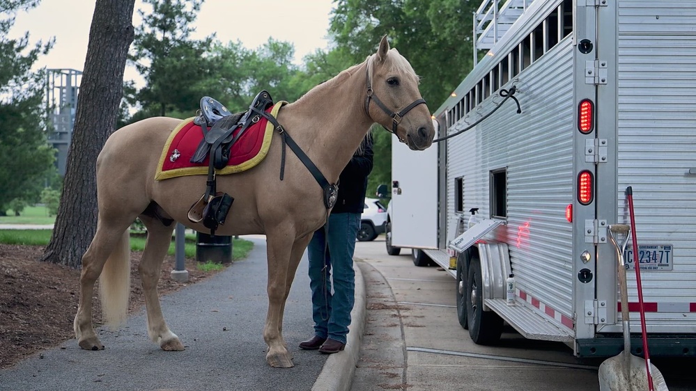 DVIDS - Video - The Marine Corps Mounted Color Guard East Coast Tour