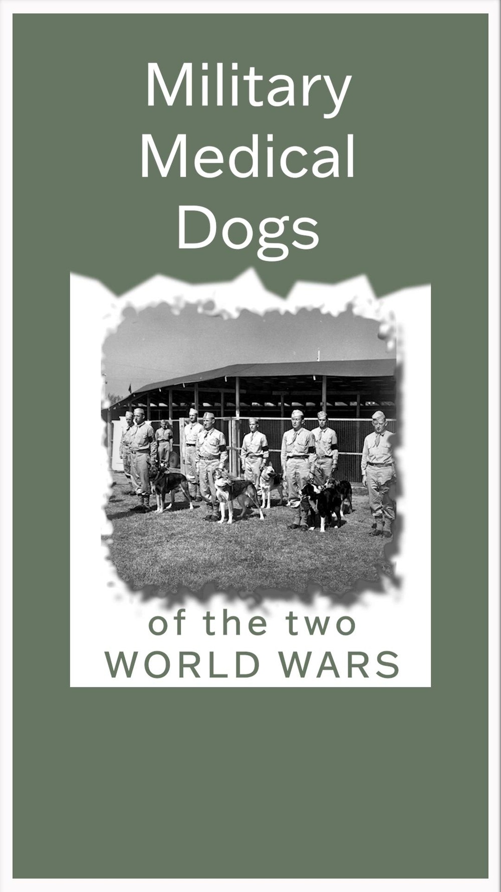DVIDS - Video - Military Medical Dogs of WW1 & 2 (vertical)