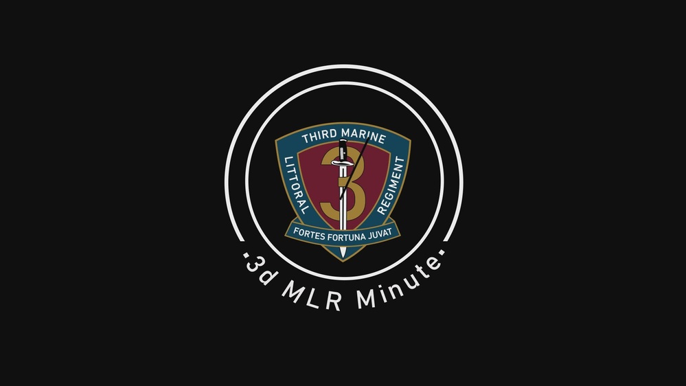 DVIDS - Video - 3d MLR Minute: June 10-16