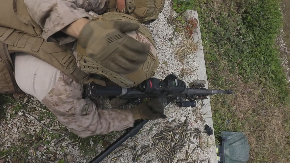 DVIDS - Video - 2nd AAB Marines, Swedish 181st Armored Battalion ...