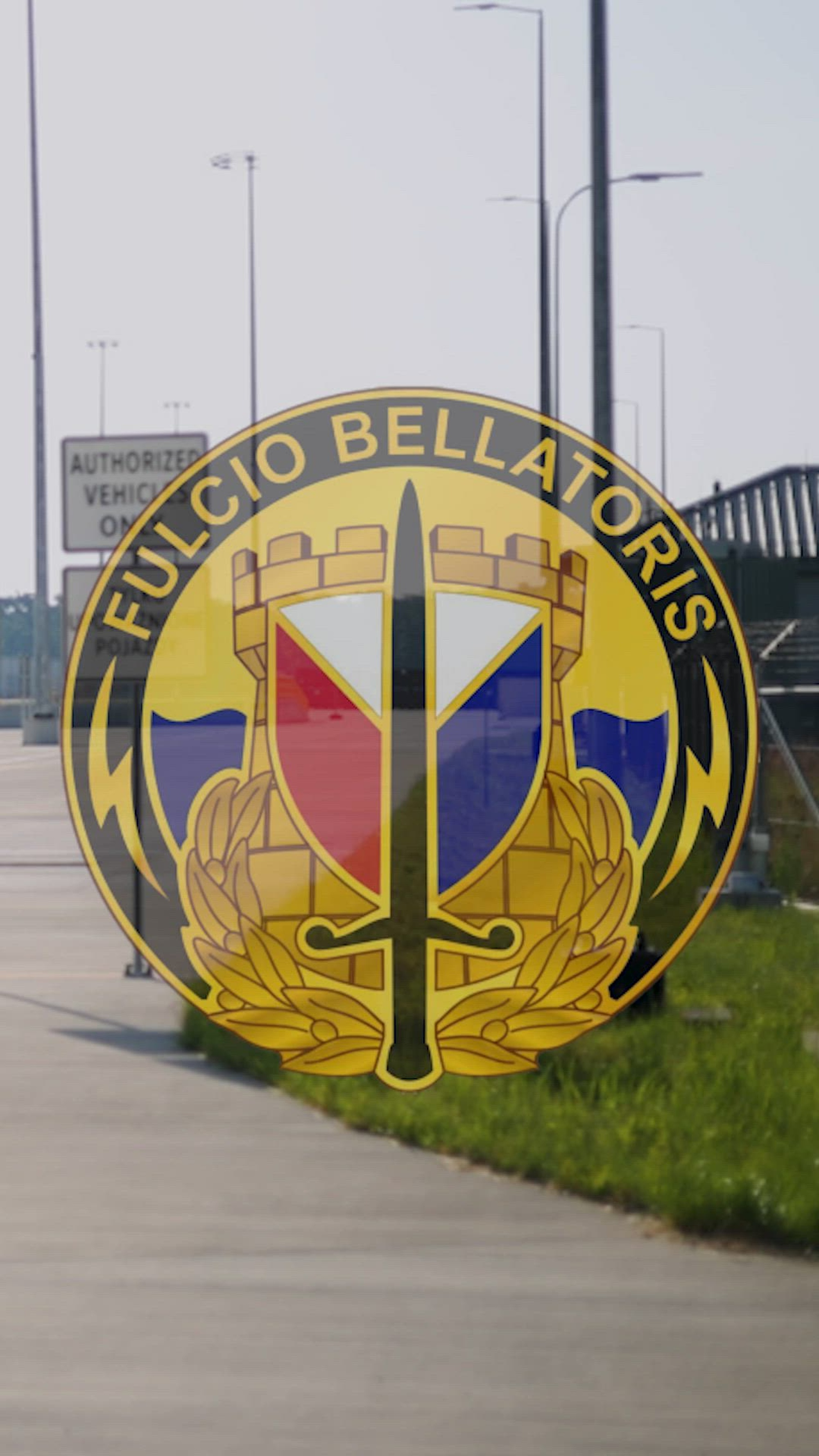 U.S. Army Europe and Africa's home page