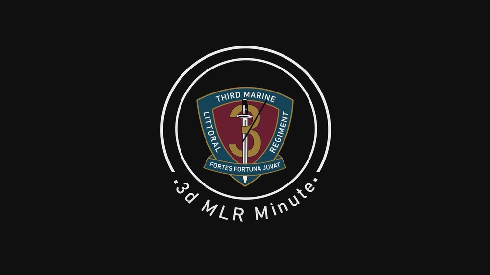 DVIDS - Video - 3d MLR Minute: June 24-30