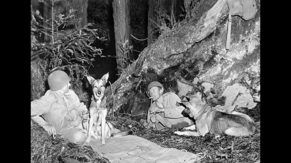 DVIDS - Video - Fort Carson Installation Planning Board Video