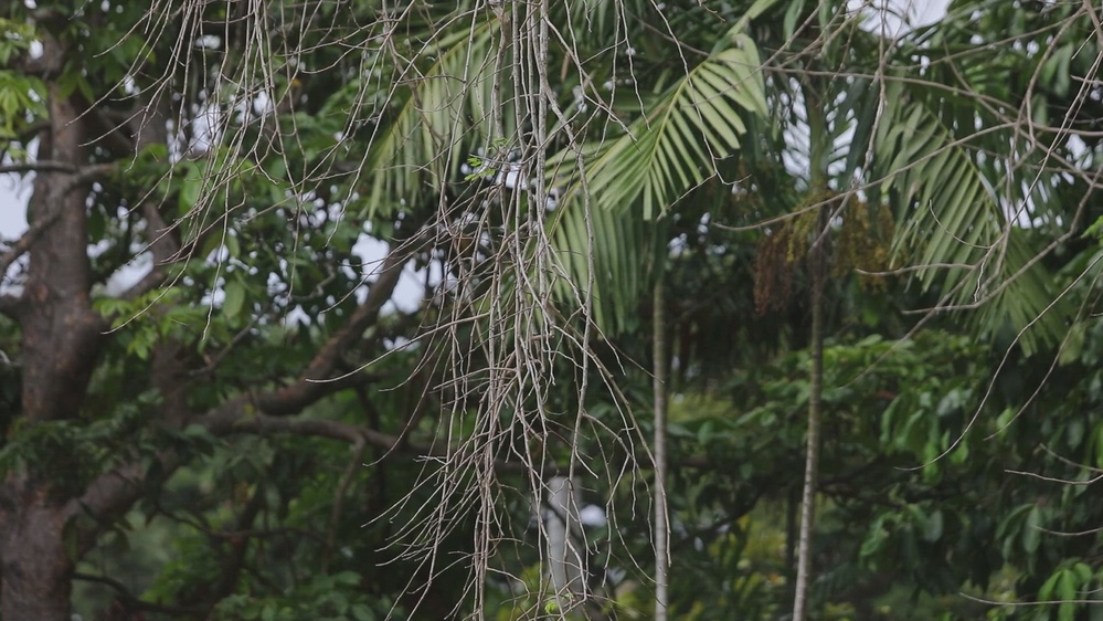 DVIDS - Video - B-roll of US and PNGDF soldiers conducting medical training