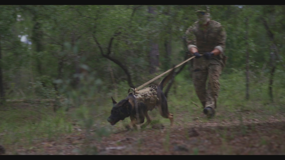 DVIDS - Video - Special Reconnaissance Sniper Operations