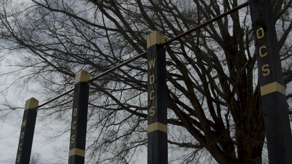 DVIDS - Video - Why Traditional OCS?