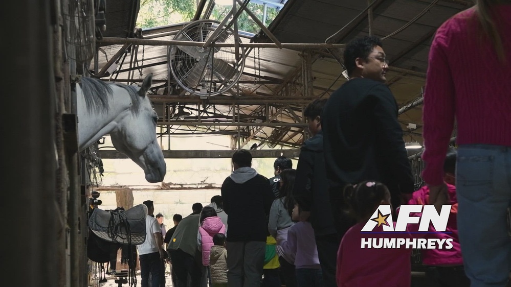 DVIDS - Video - 8th Army Soldiers Volunteer At Grace Stables Korea