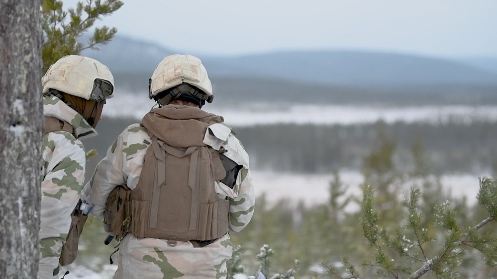 DVIDS - Video - Dynamic Front 25: Multinational forward observers B-Roll