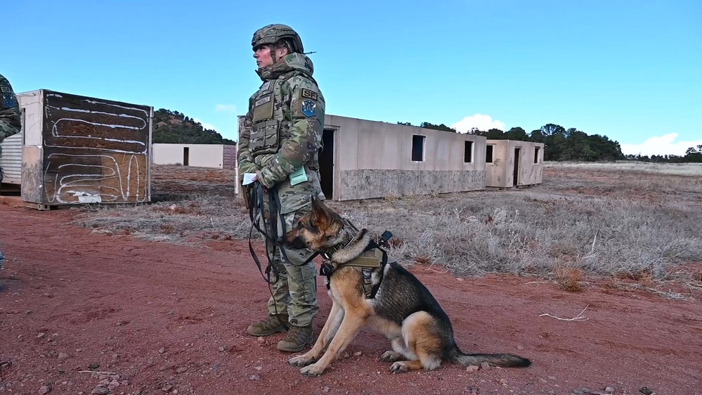 DVIDS - Video - 21st SFS MWD Section partners with the 4th CAB for ...