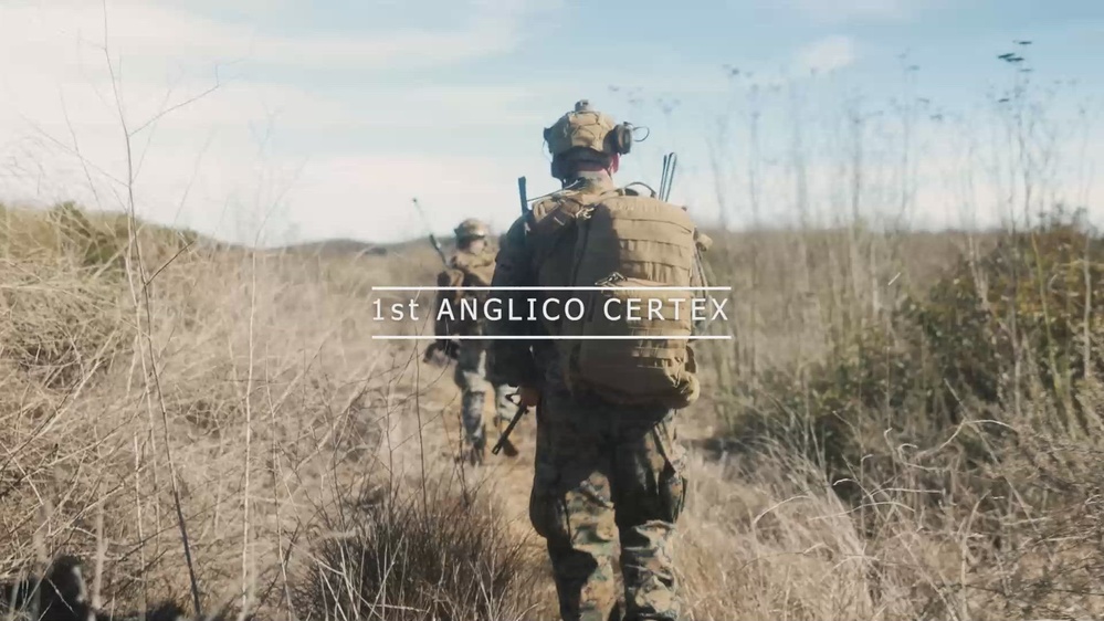 DVIDS - Video - 1st ANGLICO CERTEX