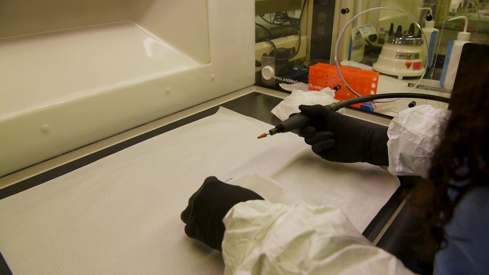 DVIDS - Video - AFDIL Scientists Assist in the Identification of Vasa ...