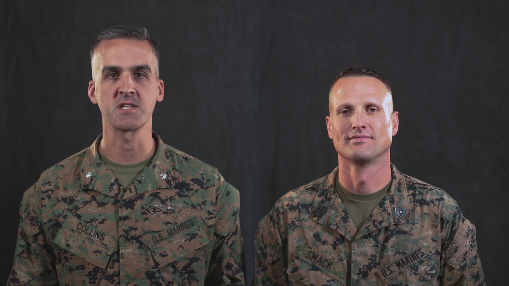 DVIDS - Video - MWHS-1 CO and SgtMaj. address Marines