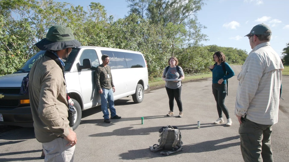DVIDS - Video - Mariana Swiftlet Count on Guam B-Roll