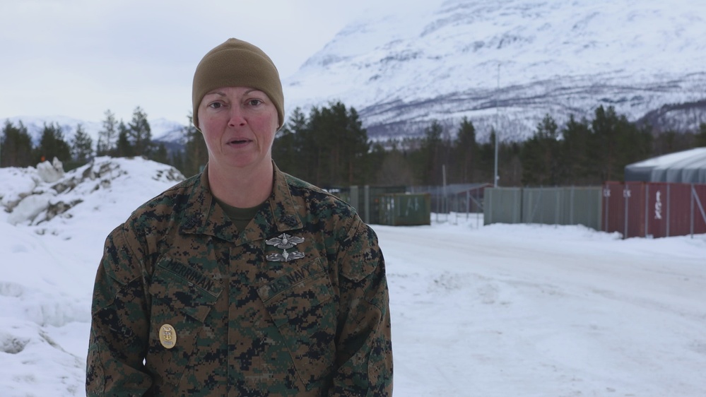 DVIDS - Video - Exercise Joint Viking 25: Master Chief Petty Officer ...