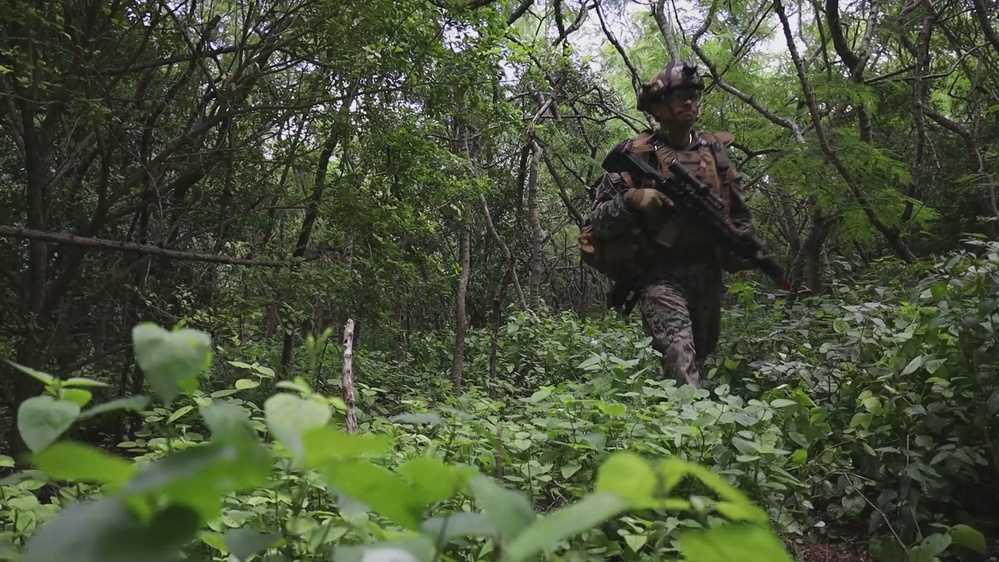 DVIDS - Video - Pacific Marine Advanced Infantry Training – SOI West