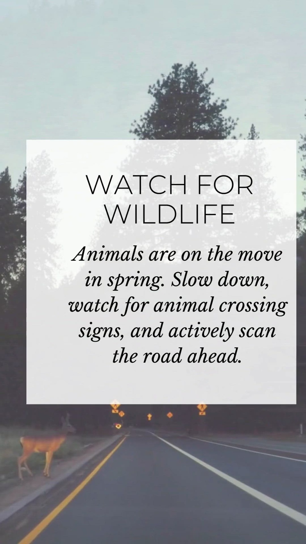 DVIDS - Video - Spring driving safety awareness