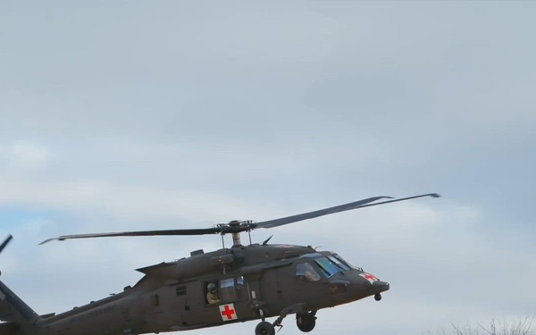 DVIDS - Search - National Guard ranks