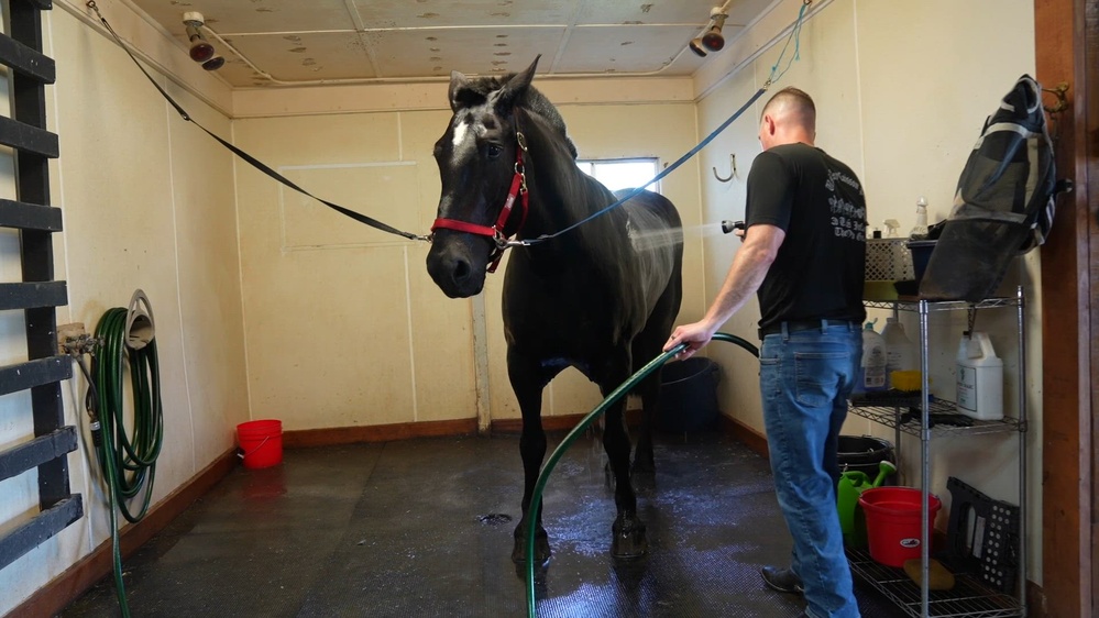 DVIDS - Video - Caisson Riding Training