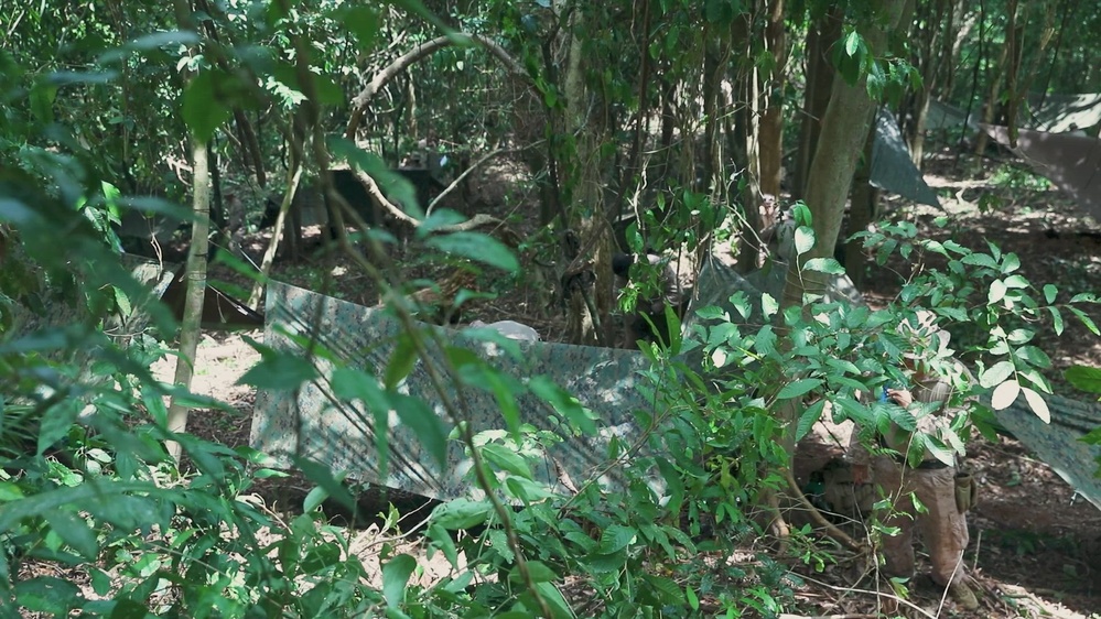 DVIDS - Video - V18 Jungle Training