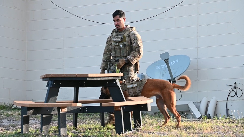 DVIDS - Video - 6th SFS conducts security sweep during NORI: B-Roll