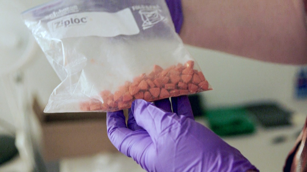 DVIDS - Video - B-Roll Footage: Joint Criminal Opioid and Darknet ...