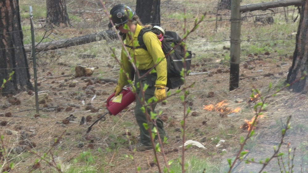 DVIDS - Video - Drip Torch Operations