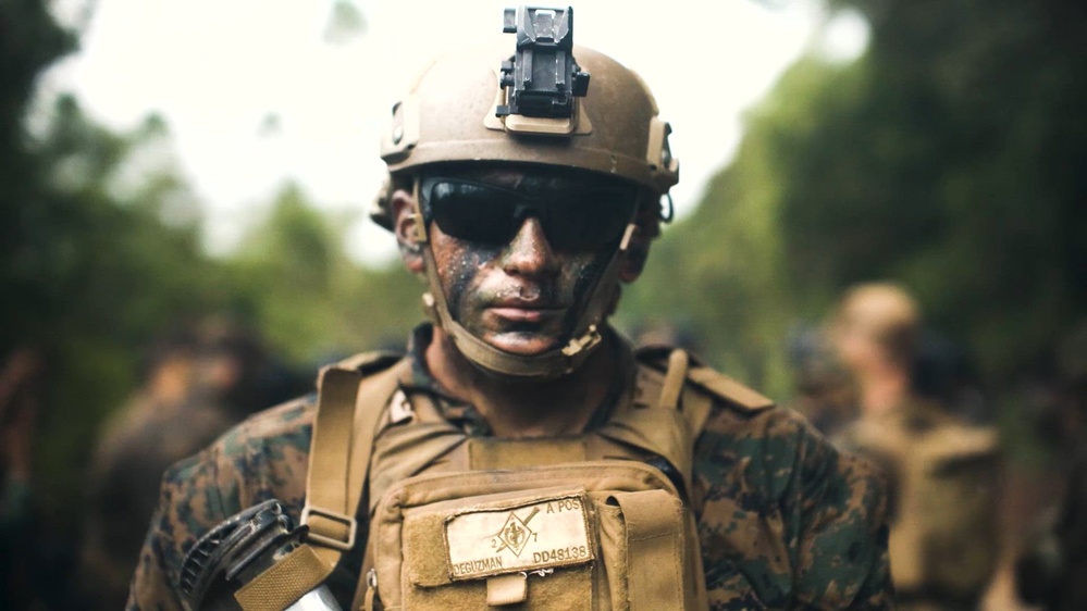 DVIDS - Video - U.S. Marine Corps 250th Birthday Teaser: CWO5 Wayne ...