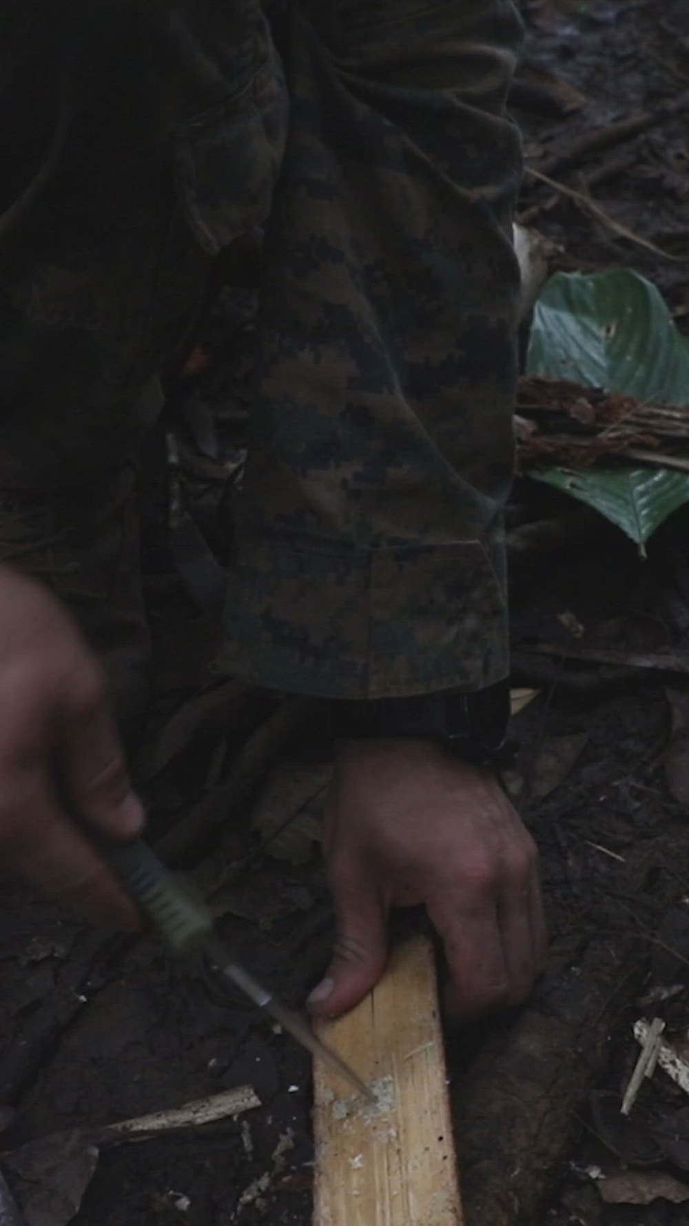 DVIDS - Video - Combined Jungle Operations Training Course Phase 1 Reel