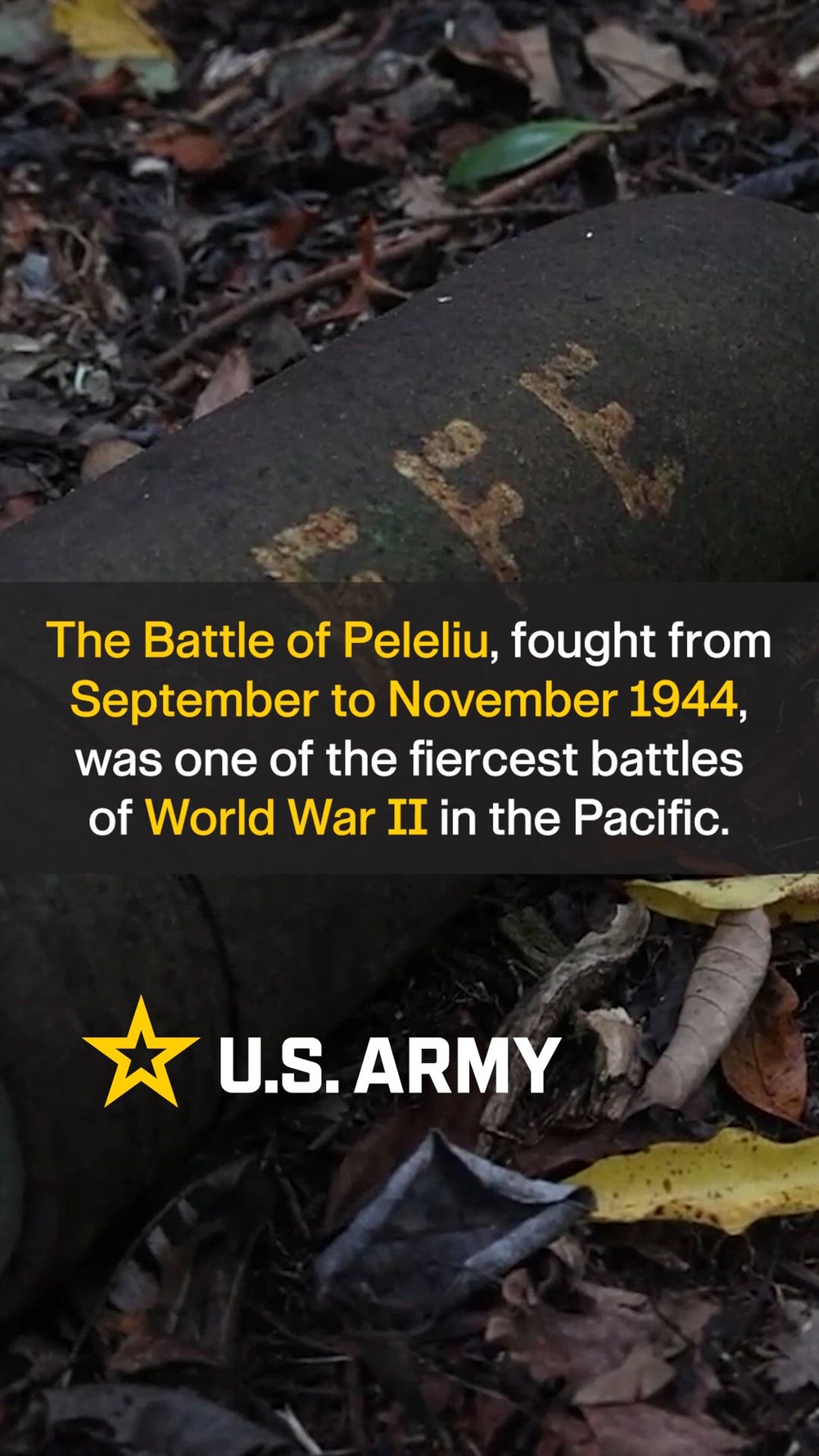 DVIDS - Video - CAT Palau restores Pelelieu memorial