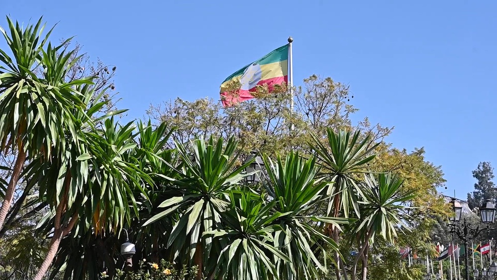 DVIDS - Video - U.S. Air Force Gen. Dagvin Anderson, U.S. Africa Command (USAFRICOM) commander ...