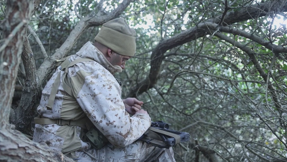 DVIDS - Video - Marines with 1st Recon Bn. conduct reconnaissance and ...