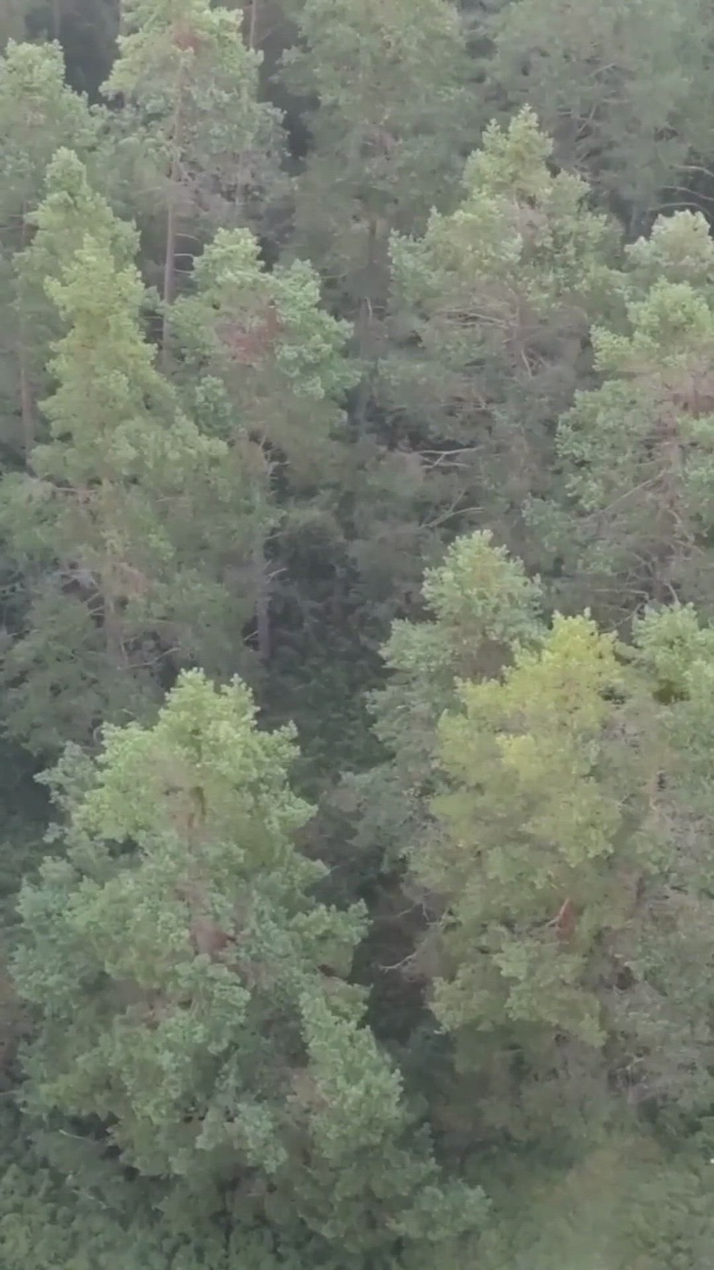DVIDS - Video - SAI Aerial ISR